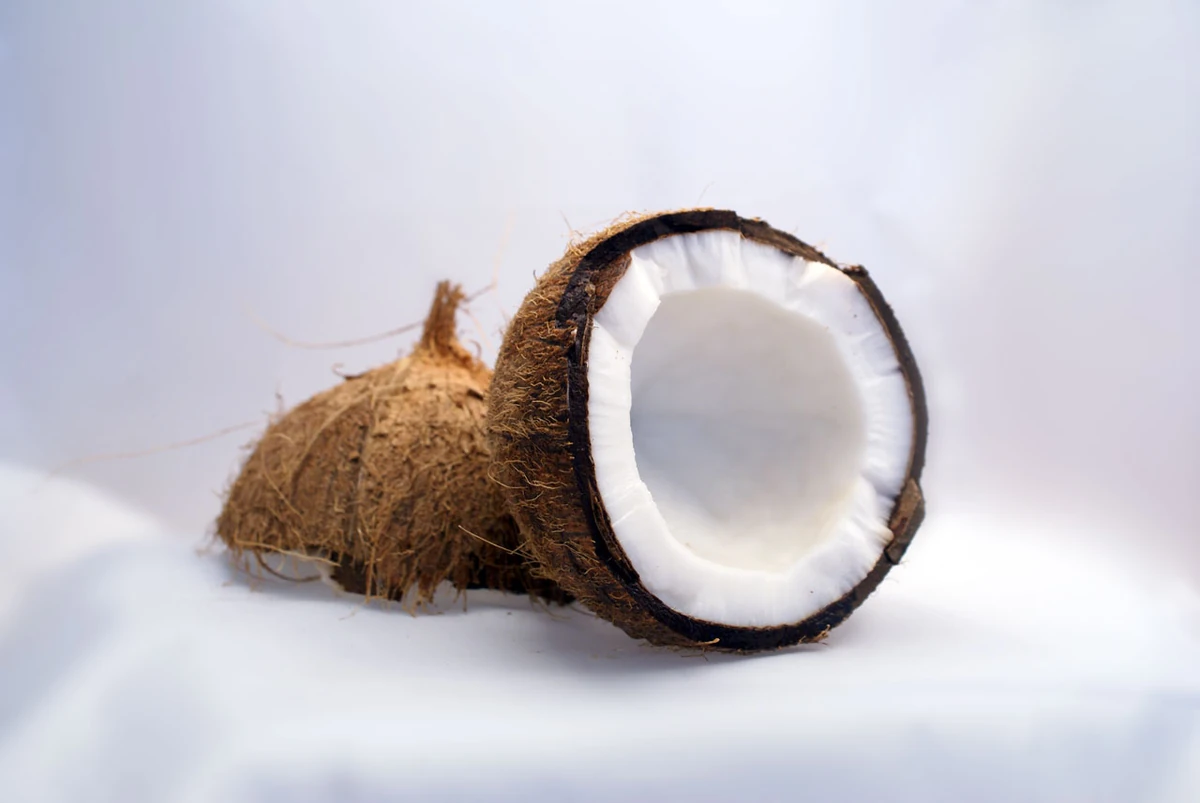 Coconut | Paleolithic Wiki | Fandom