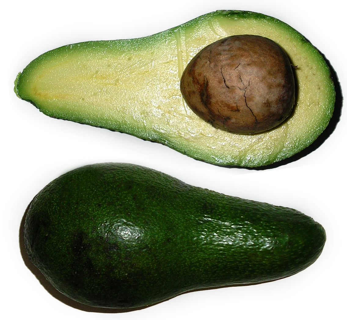 Avocado | Paleolithic Wiki | Fandom