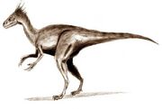 List of dinosaurs | Paleontology Wiki | Fandom