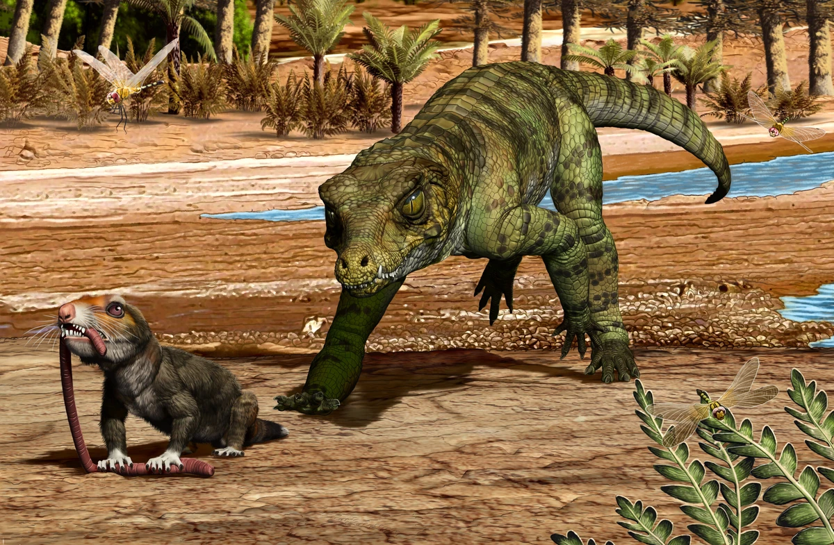 Hemiprotosuchus | Paleontology Wiki | Fandom