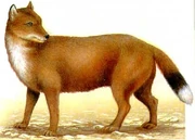 List of dinosaurs | Paleontology Wiki | Fandom