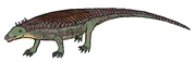 List of dinosaurs | Paleontology Wiki | Fandom