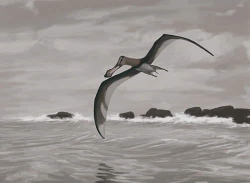 Pterosaur | Paleontology Wiki | Fandom