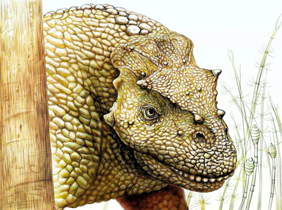 Yinshanosaurus | Paleontology Wiki | Fandom