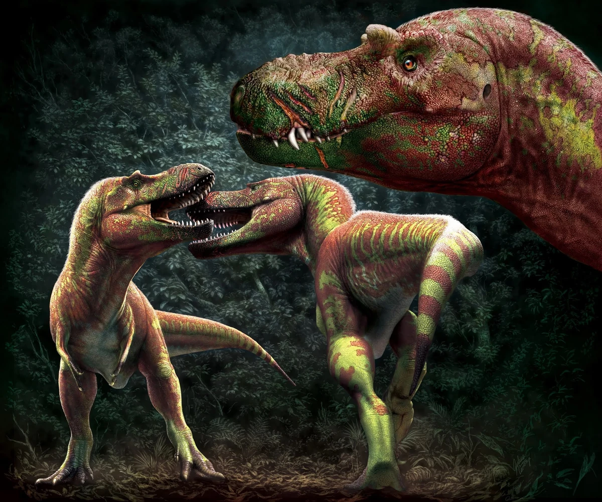 Gorgosaurus | Paleontology Wiki | Fandom