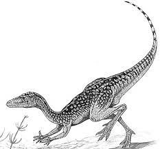 Procompsognathus | Paleontology Wiki | Fandom