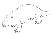 Mammaliaformes | Paleontology Wiki | Fandom