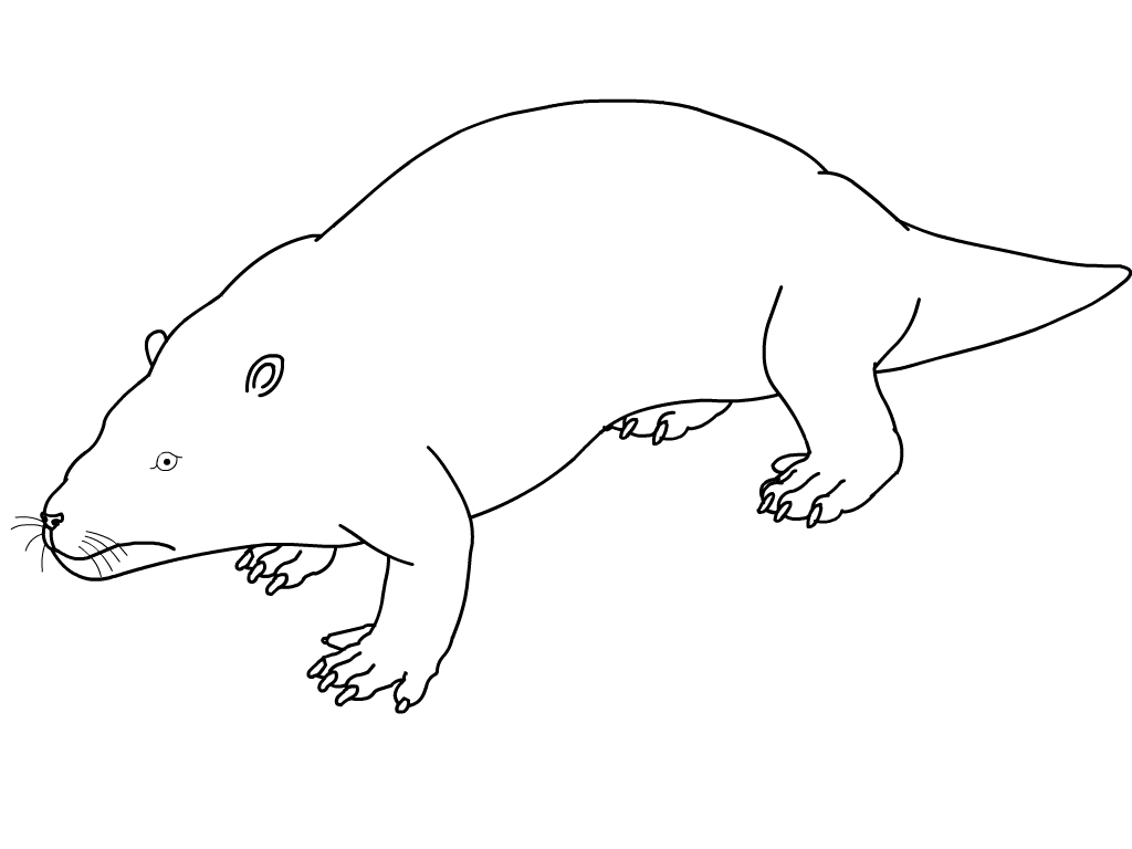 Mammaliaformes | Paleontology Wiki | Fandom