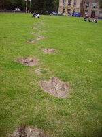 Ichnite | Paleontology Wiki | Fandom