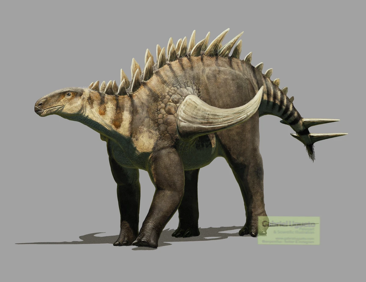 Gigantspinosaurus | Paleontology Wiki | Fandom