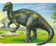 List of dinosaurs | Paleontology Wiki | Fandom