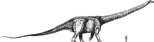 Bruhathkayosaurus Fossils