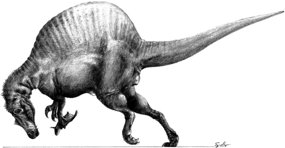 Spinosauridae | Paleontology Wiki | Fandom
