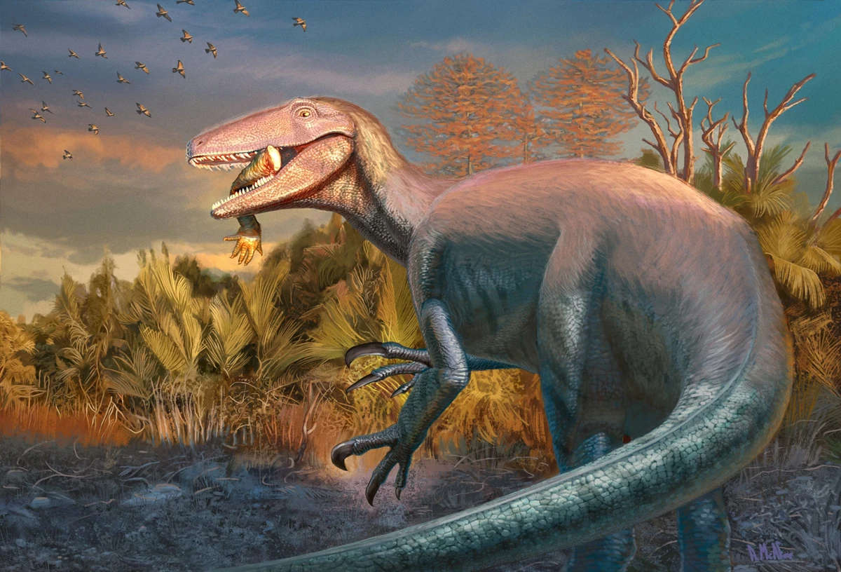 Joaquinraptor | Paleontology Wiki | Fandom