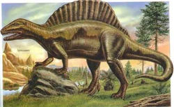 Elephantidae | Paleontology Wiki | Fandom