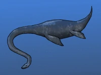 Plesiosaur | Paleontology Wiki | Fandom