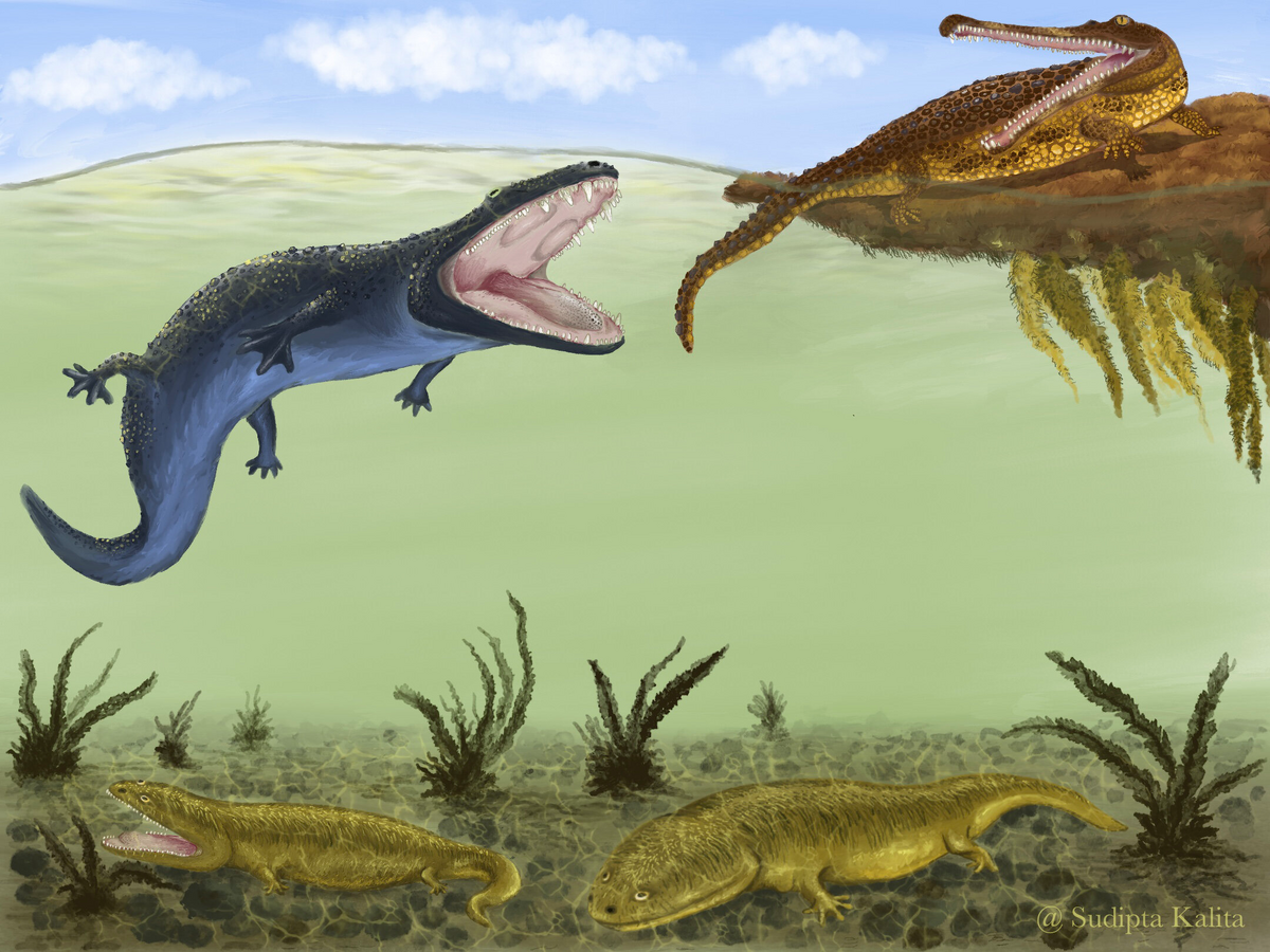 Metoposaurus Paleontology Wiki Fandom