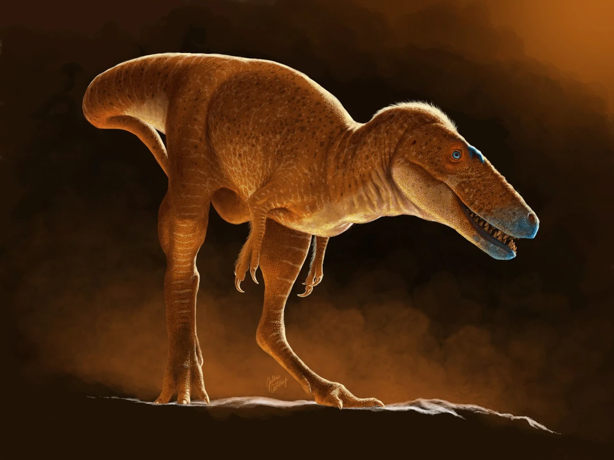 Khankhuuluu | Paleontology Wiki | Fandom