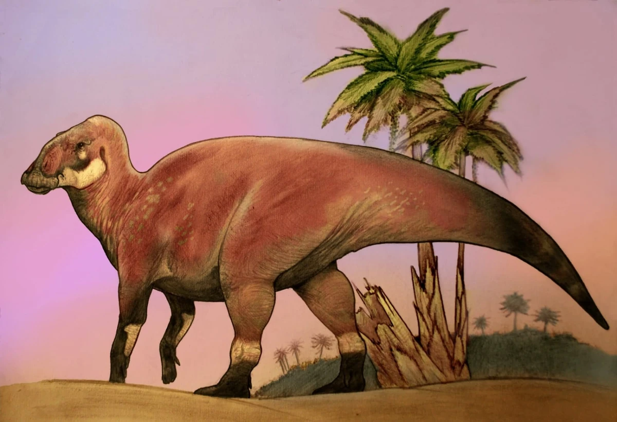 Kelumapusaura | Paleontology Wiki | Fandom