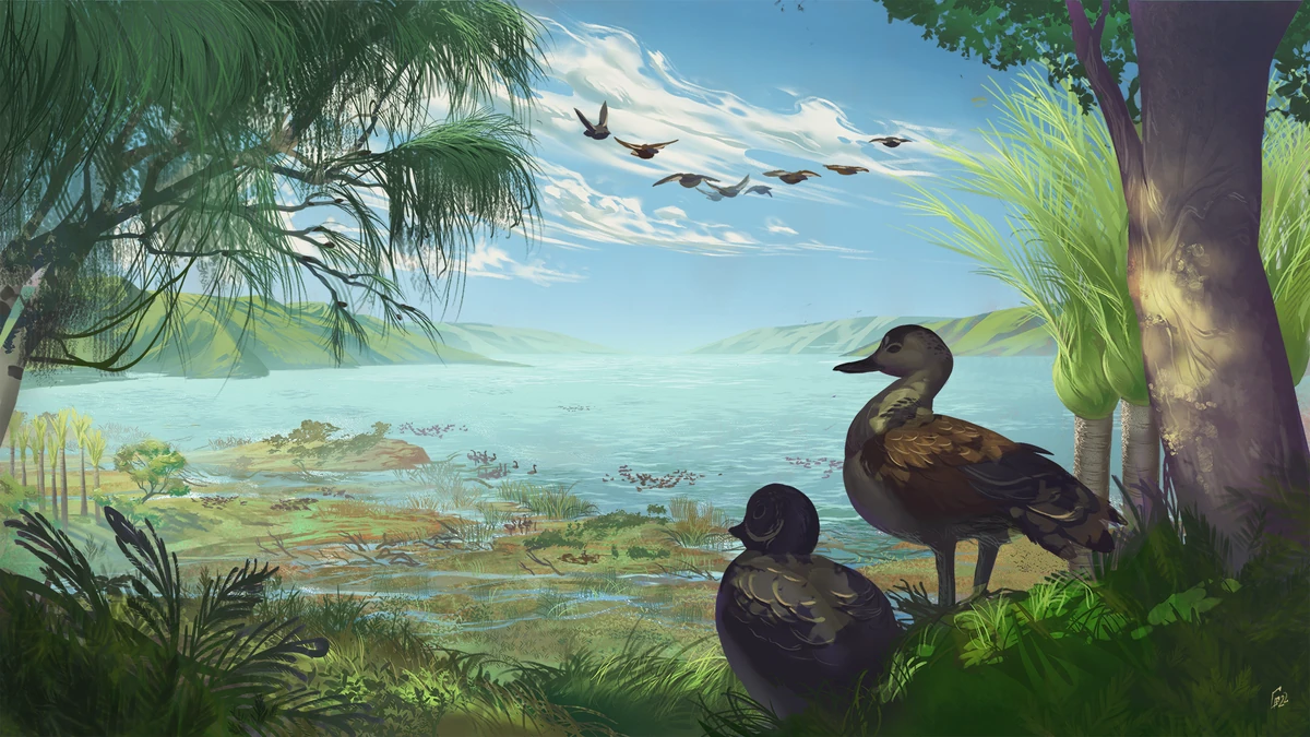 Miotadorna | Paleontology Wiki | Fandom