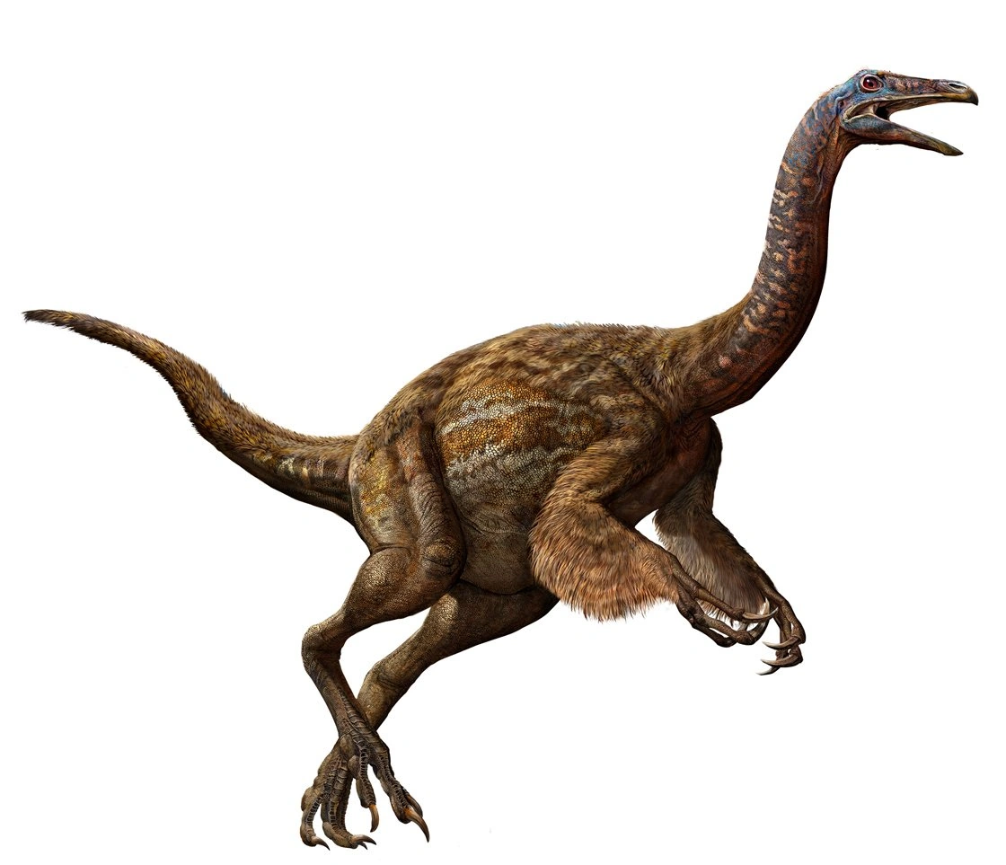 Struthiomimus | Paleontology Wiki | Fandom