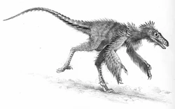 Feathered dinosaurs | Paleontology Wiki | Fandom