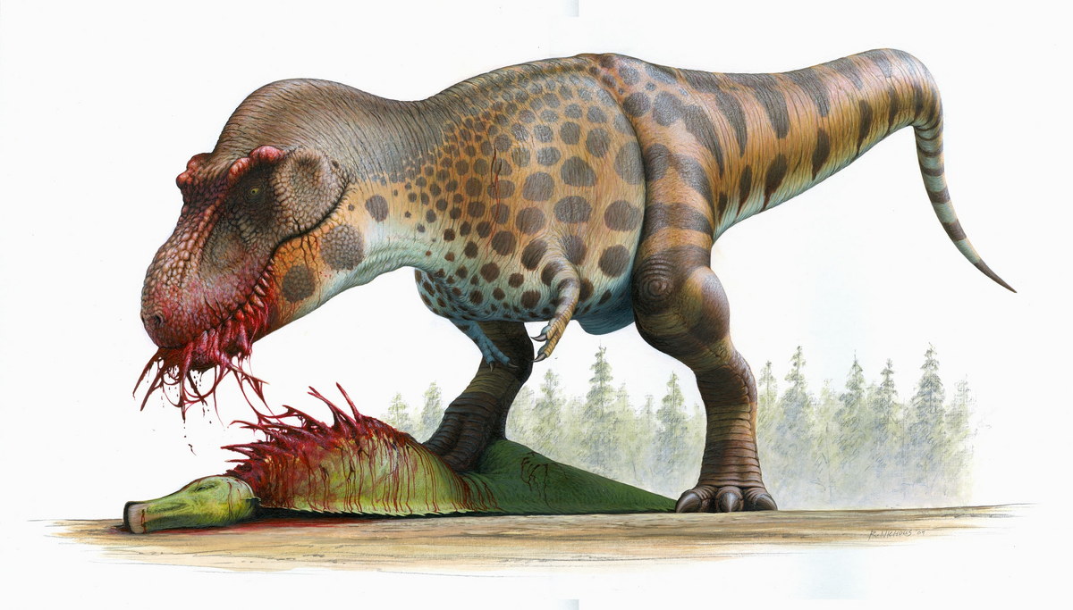 Tyrannosaurus | Paleontology Wiki | Fandom
