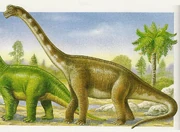 List of dinosaurs | Paleontology Wiki | Fandom