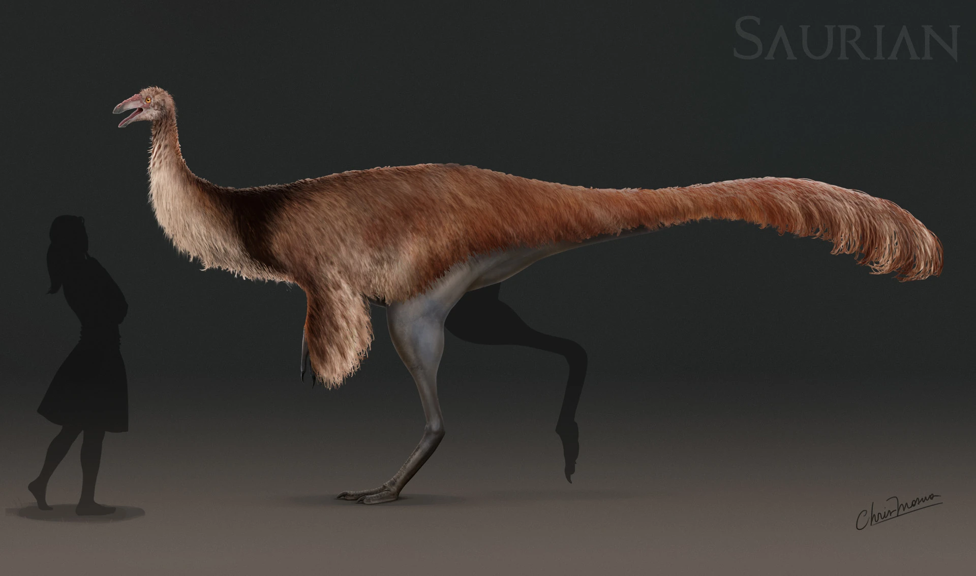 Ornithomimus Size