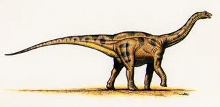 Apatosaurus | Paleontology Wiki | Fandom