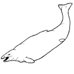 Timeline of evolution | Paleontology Wiki | Fandom