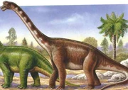 List of dinosaurs | Paleontology Wiki | Fandom