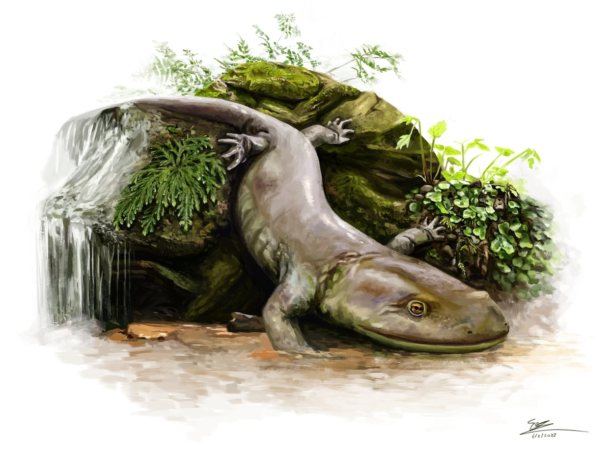 Marmorerpeton | Paleontology Wiki | Fandom
