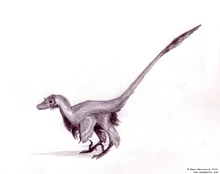 Velociraptor | Paleontology Wiki | Fandom