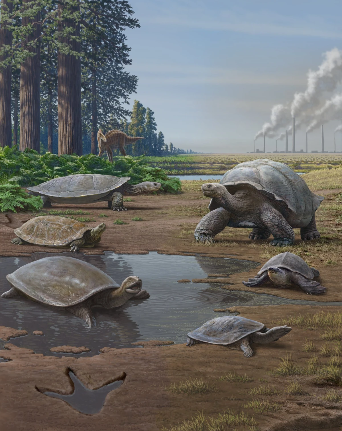 Zangerlia | Paleontology Wiki | Fandom
