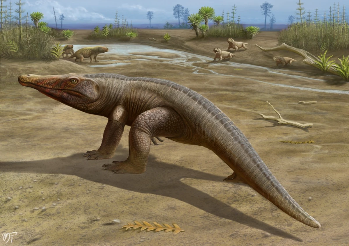 Stenoscelida | Paleontology Wiki | Fandom