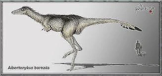 Nqwebasaurus | Paleontology Wiki | Fandom