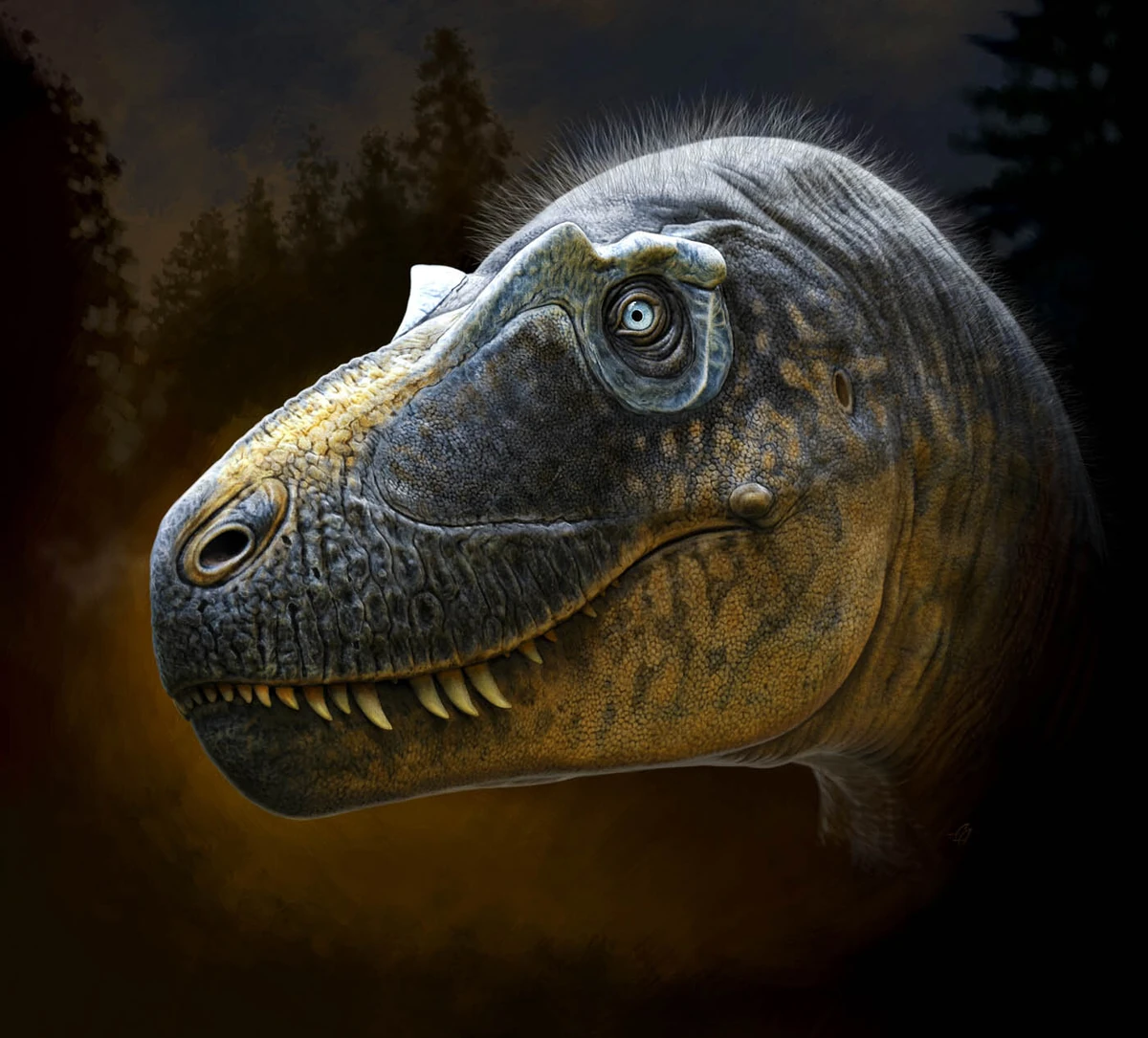 Daspletosaurus | Paleontology Wiki | Fandom