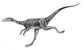 Compsognathidae | Paleontology Wiki | Fandom