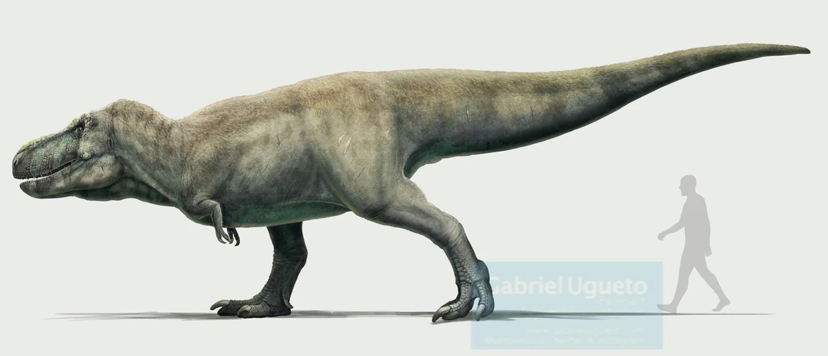 Tarbosaurus | Paleontology Wiki | Fandom