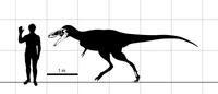 Alioramus | Paleopedia Wiki | Fandom