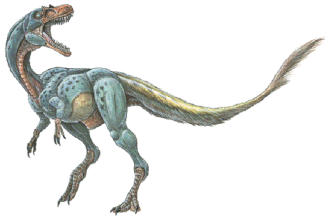 Dilong | Paleopedia Wiki | Fandom