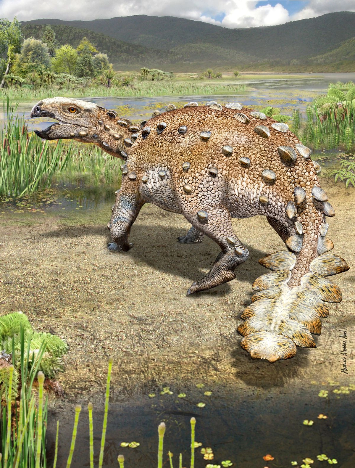 Stegouros | Paleopedia Wiki | Fandom
