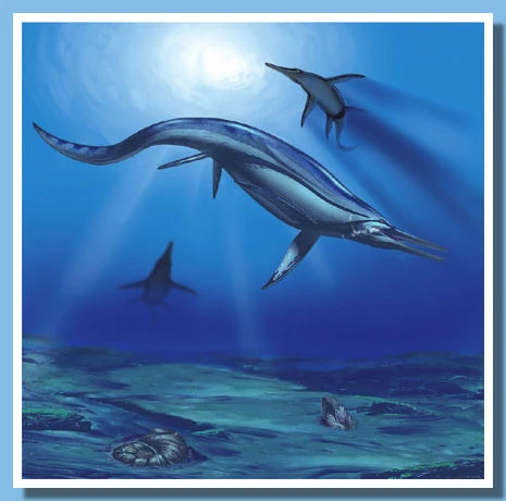 Besanosaurus | Paleopedia Wiki | Fandom