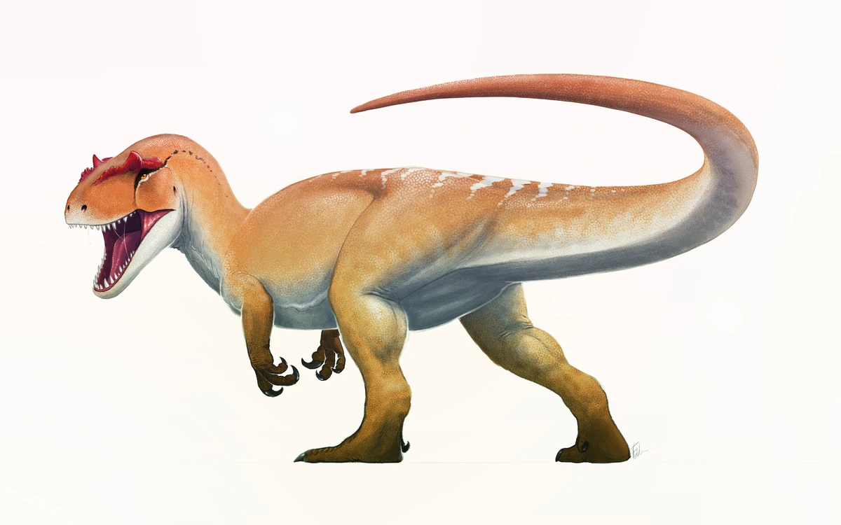 Allosaurus | Paleopedia Wiki | Fandom