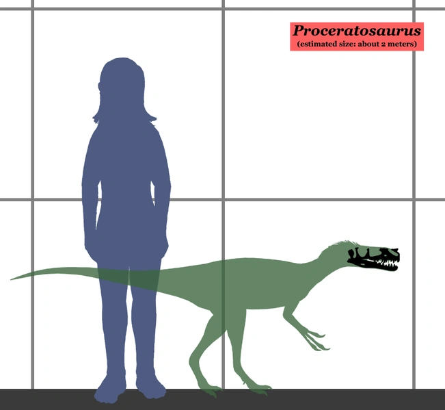 Proceratosaurus | Paleopedia Wiki | Fandom