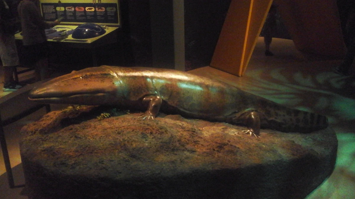 Antarctosuchus | Paleopedia Wiki | Fandom