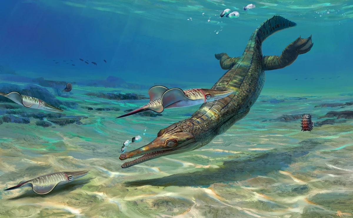 Turnersuchus | Paleopedia Wiki | Fandom