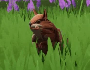 Chapaa | Palia Wiki | Fandom