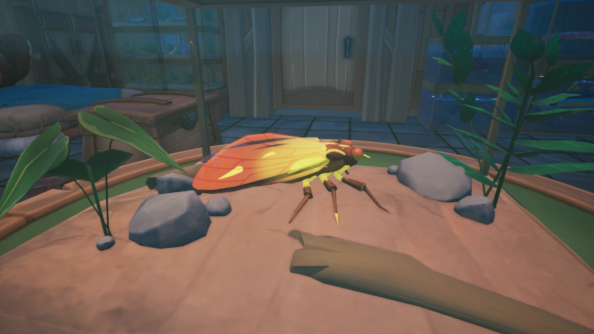 Spitfire Cicada | Palia Wiki | Fandom